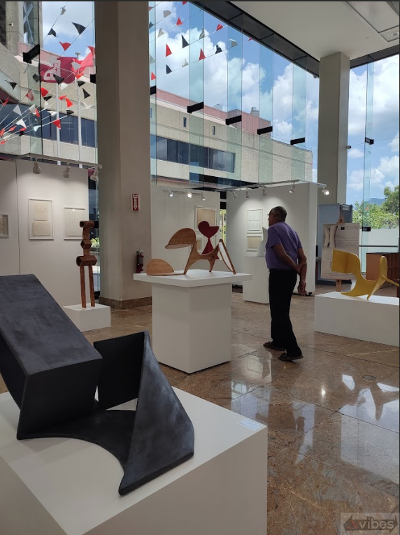 The Work Of A Lifetime: Jackie Hinkson | EXPRESS VIBES